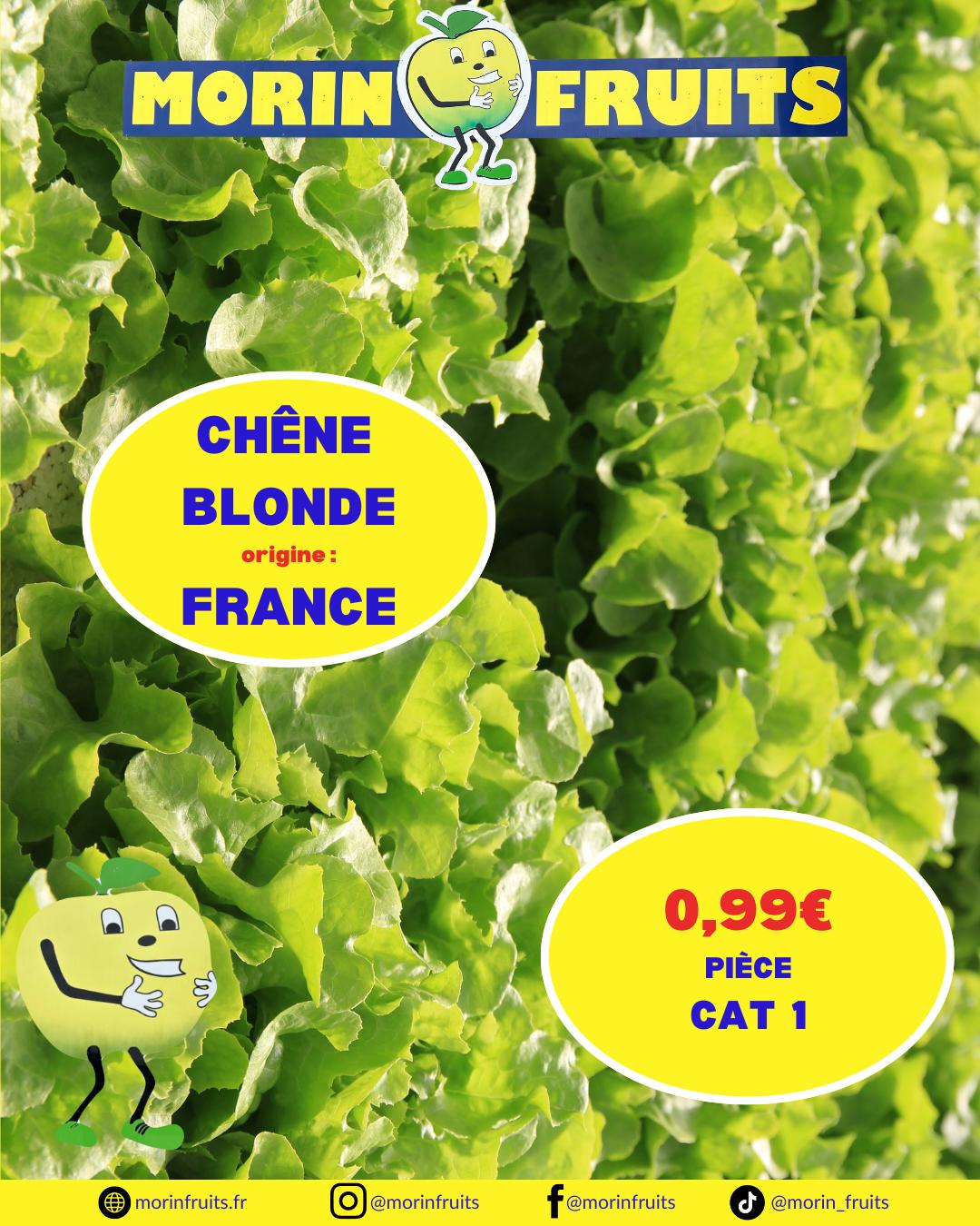 Promotions - Morin Fruits